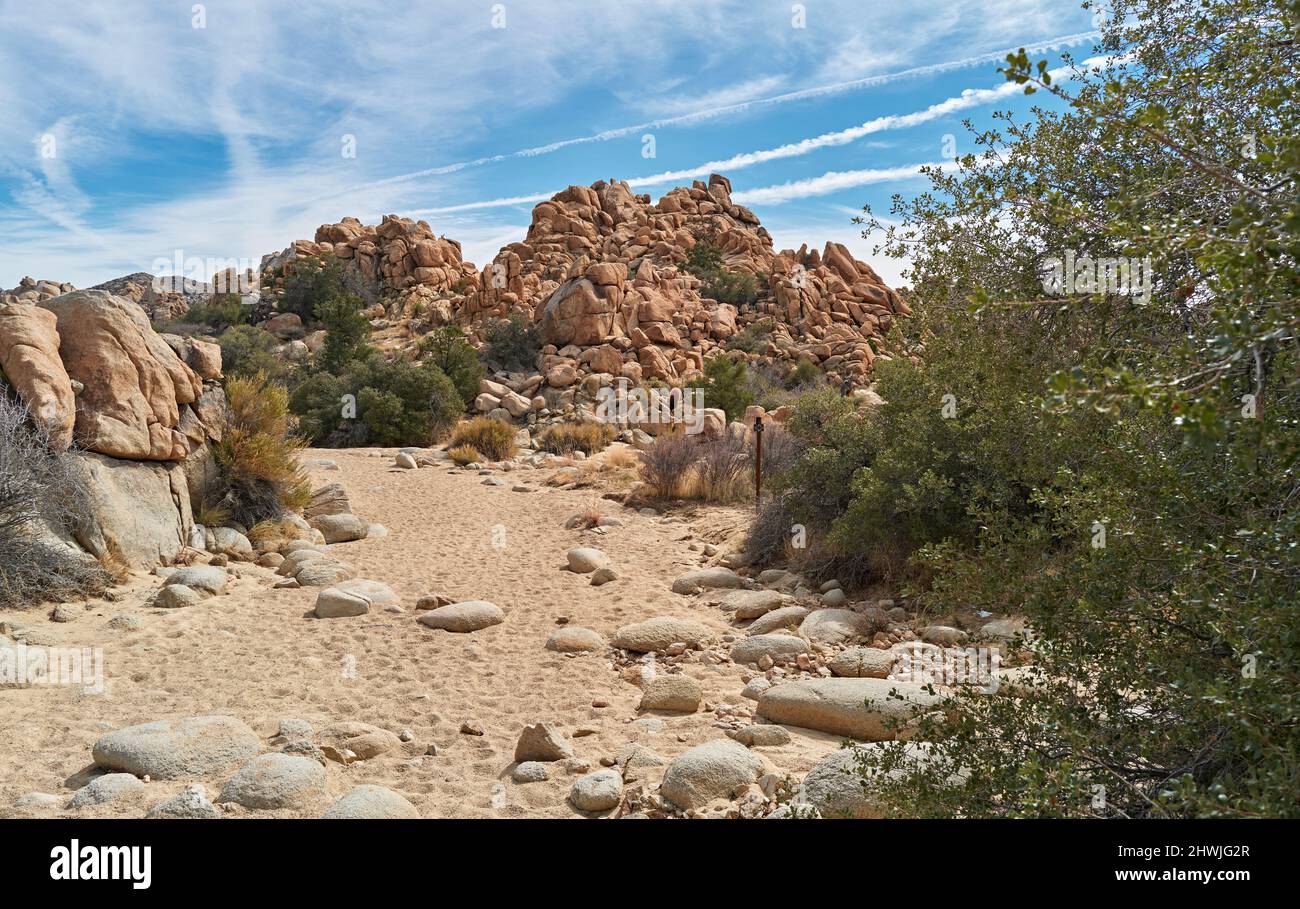 Joshua Tree National Park Stock Photo - Alamy