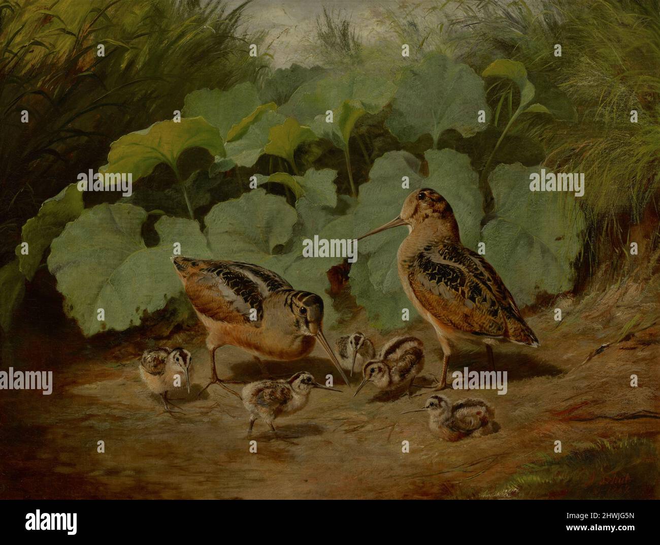 Woodcock and Young. Artist: Arthur Fitzwilliam Tait, American, 1819 ...