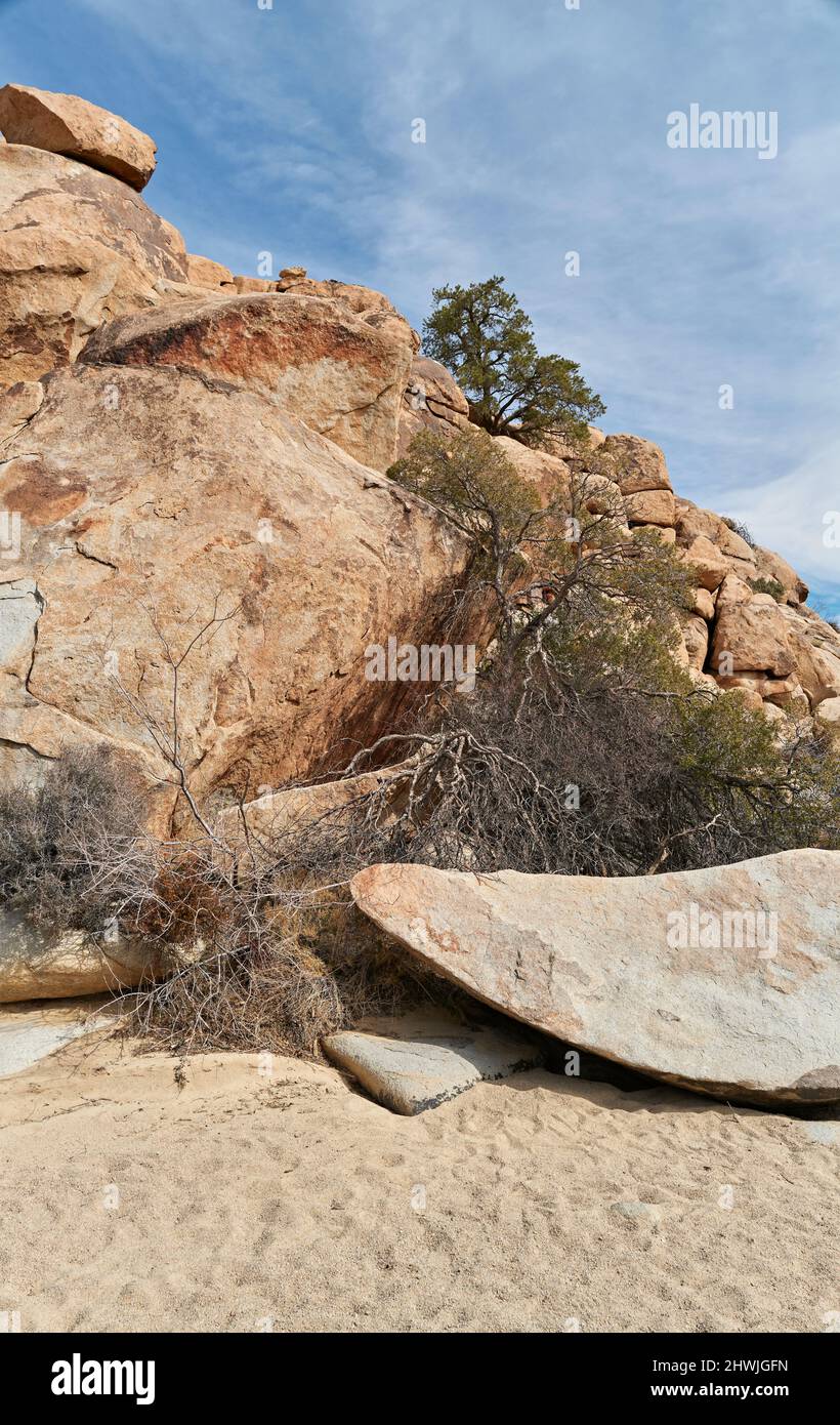 Joshua Tree National Park Stock Photo - Alamy