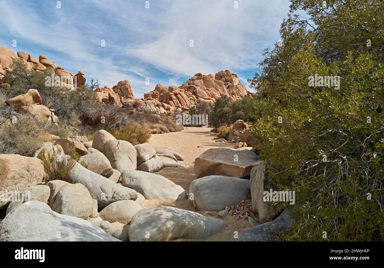Joshua Tree National Park Stock Photo - Alamy