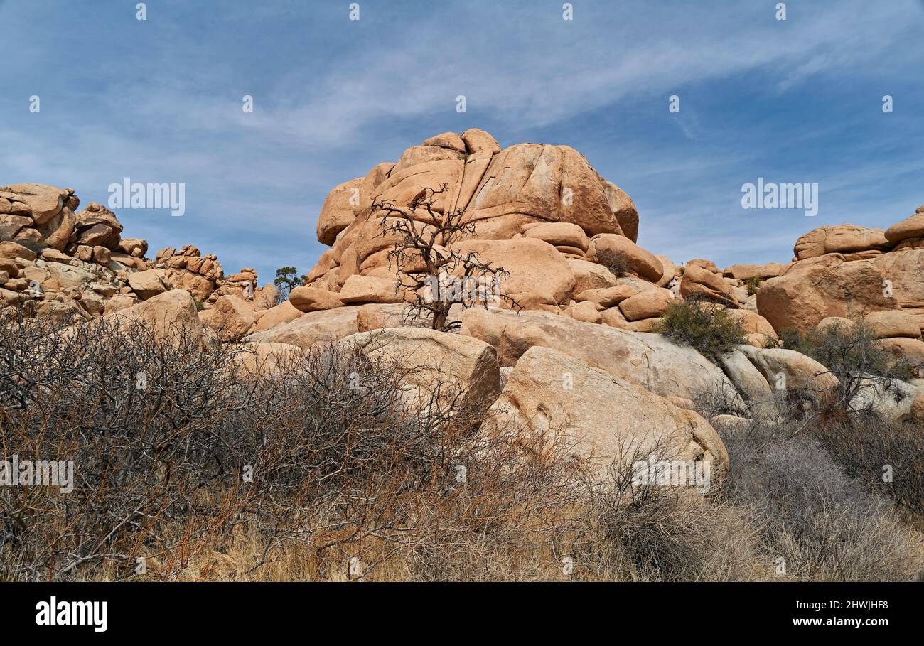 Joshua Tree National Park Stock Photo - Alamy