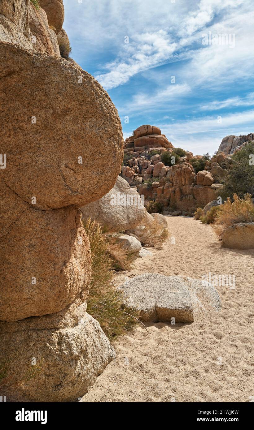 Joshua Tree National Park Stock Photo - Alamy