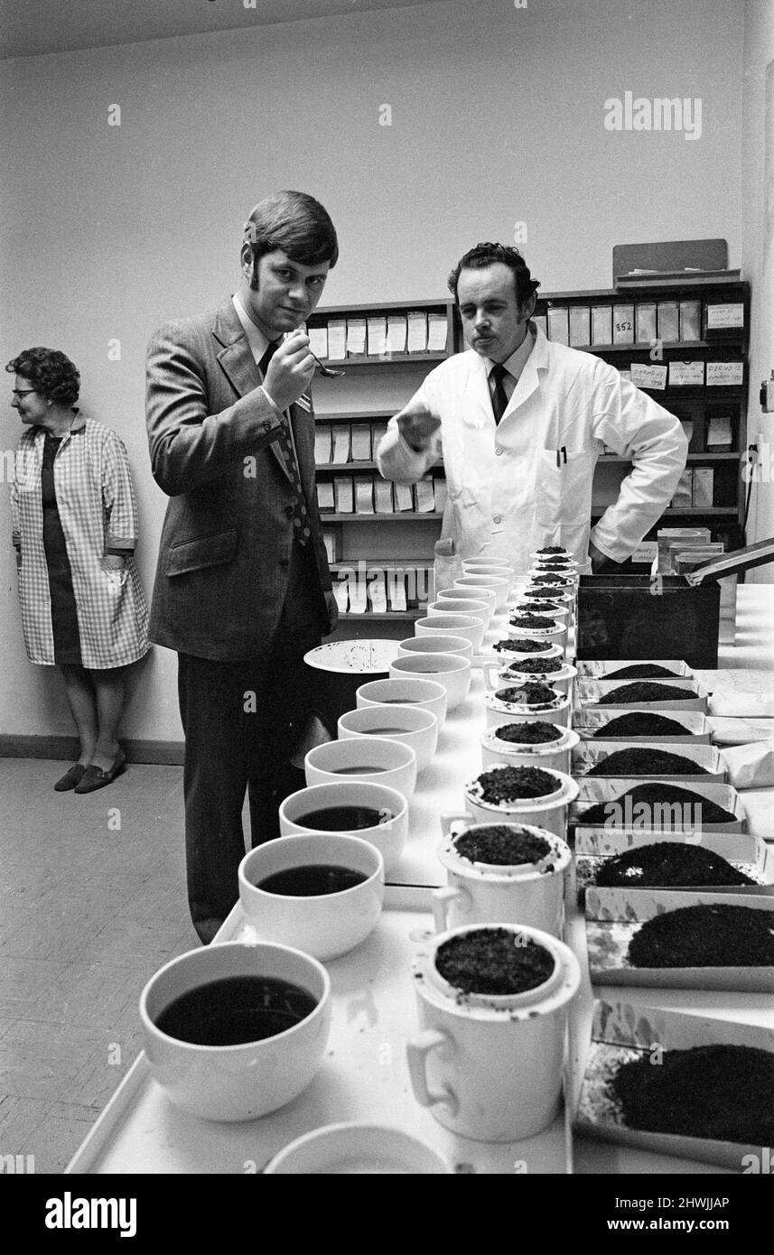 Tea tasters at Tetley's, Teesside. 1972 Stock Photo - Alamy