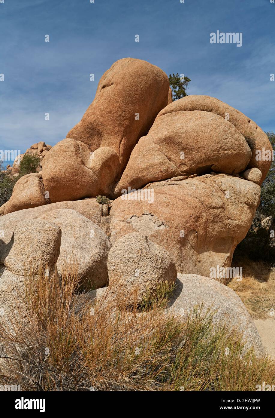Joshua Tree National Park Stock Photo - Alamy
