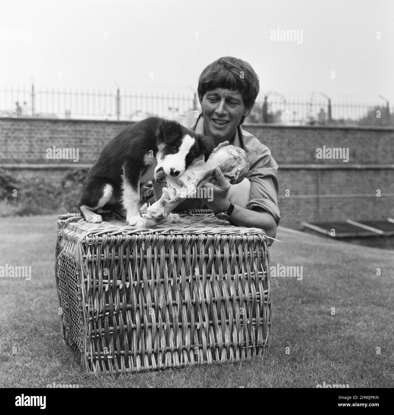 Blue Peter presenter John Noakes, seen here with the programmes new ...