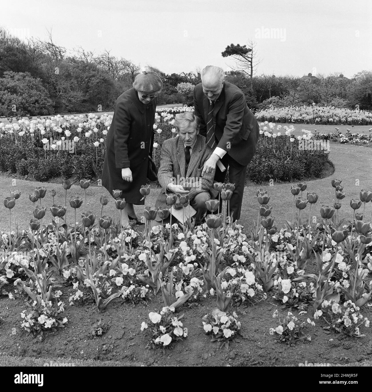 Britain in Bloom judges in Redcar. 1971 Stock Photo - Alamy