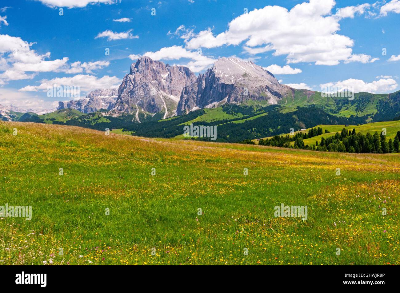 Sasso Lungo and Sasso Piatto, Alpe di Siusi, Alto Adige, Italy Stock ...