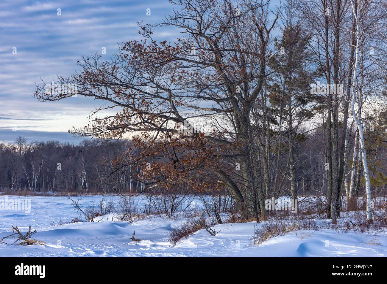 Winter on the Chippewa Flowage in northern Wisconsin Stock Photo - Alamy