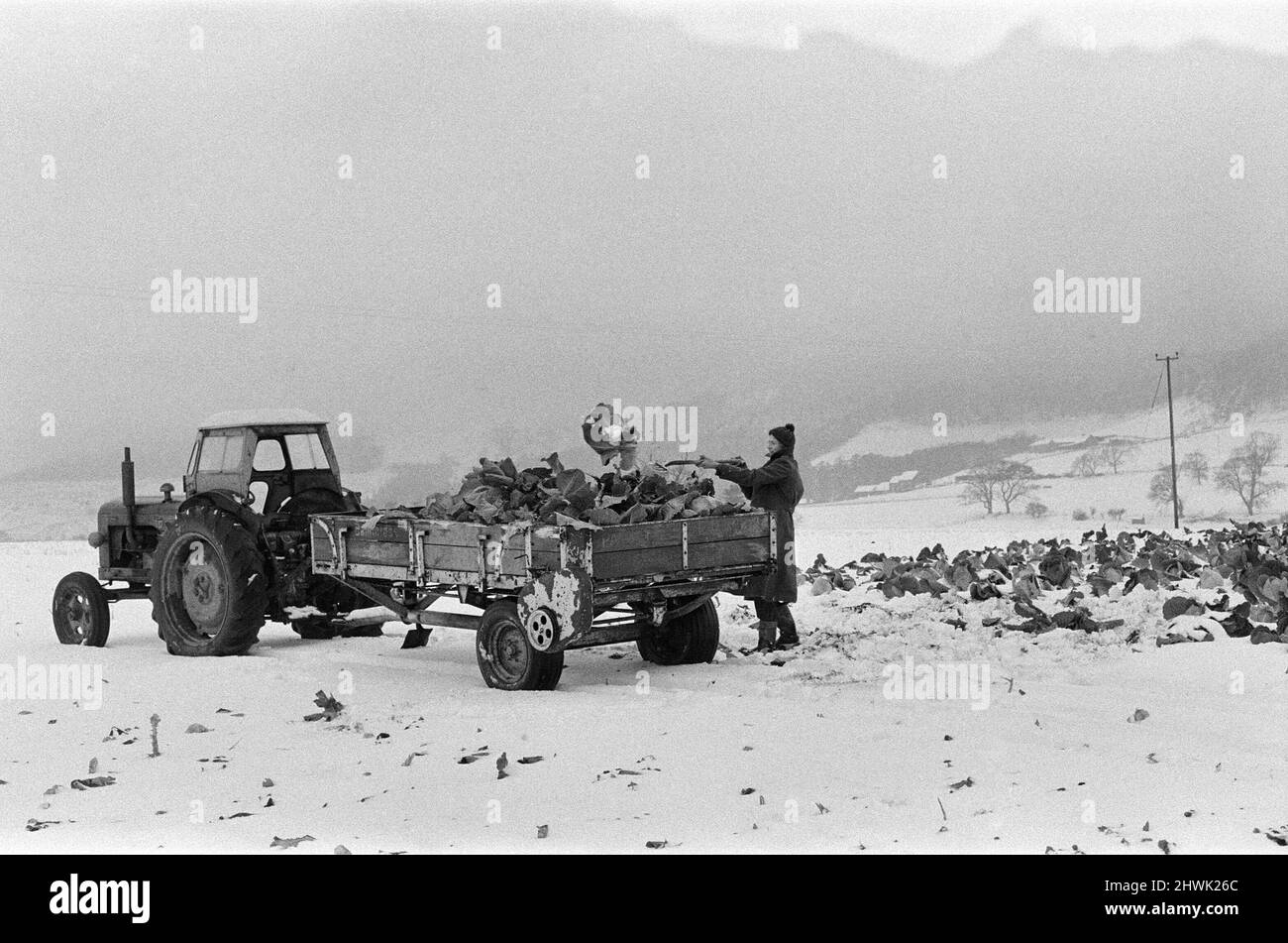 Snow scenes in the Hutton Rudby area. 1971 Stock Photo - Alamy