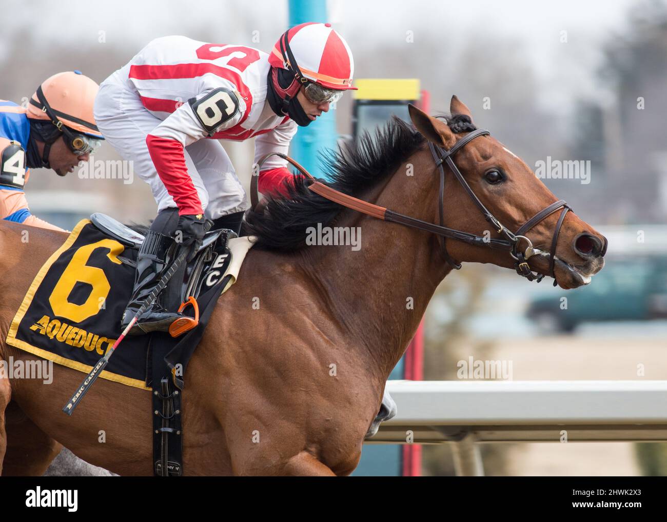 Electability #6, ridden by jockey Manny Franco wins a maiden special ...