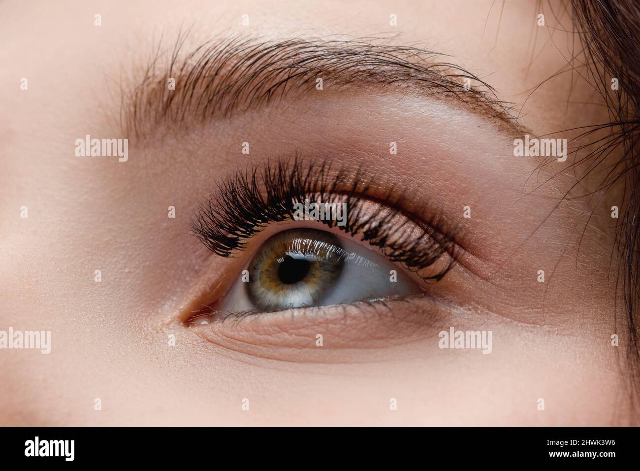 Closeup beautiful macro woman eye with extreme long fake eyelashes ...