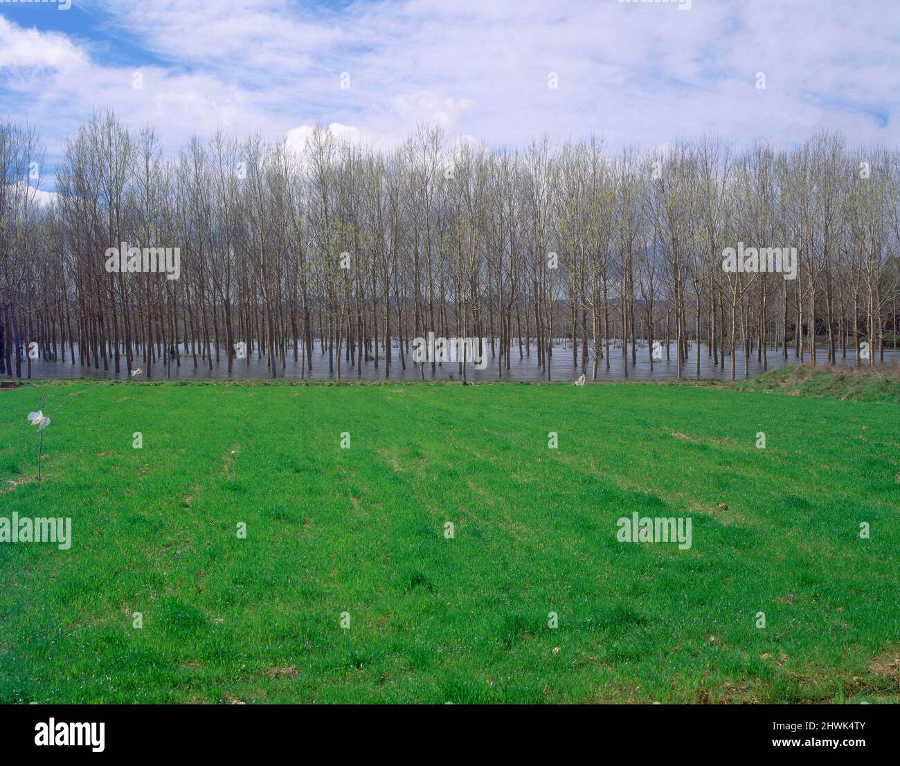 Río desbordado hi-res stock photography and images - Alamy