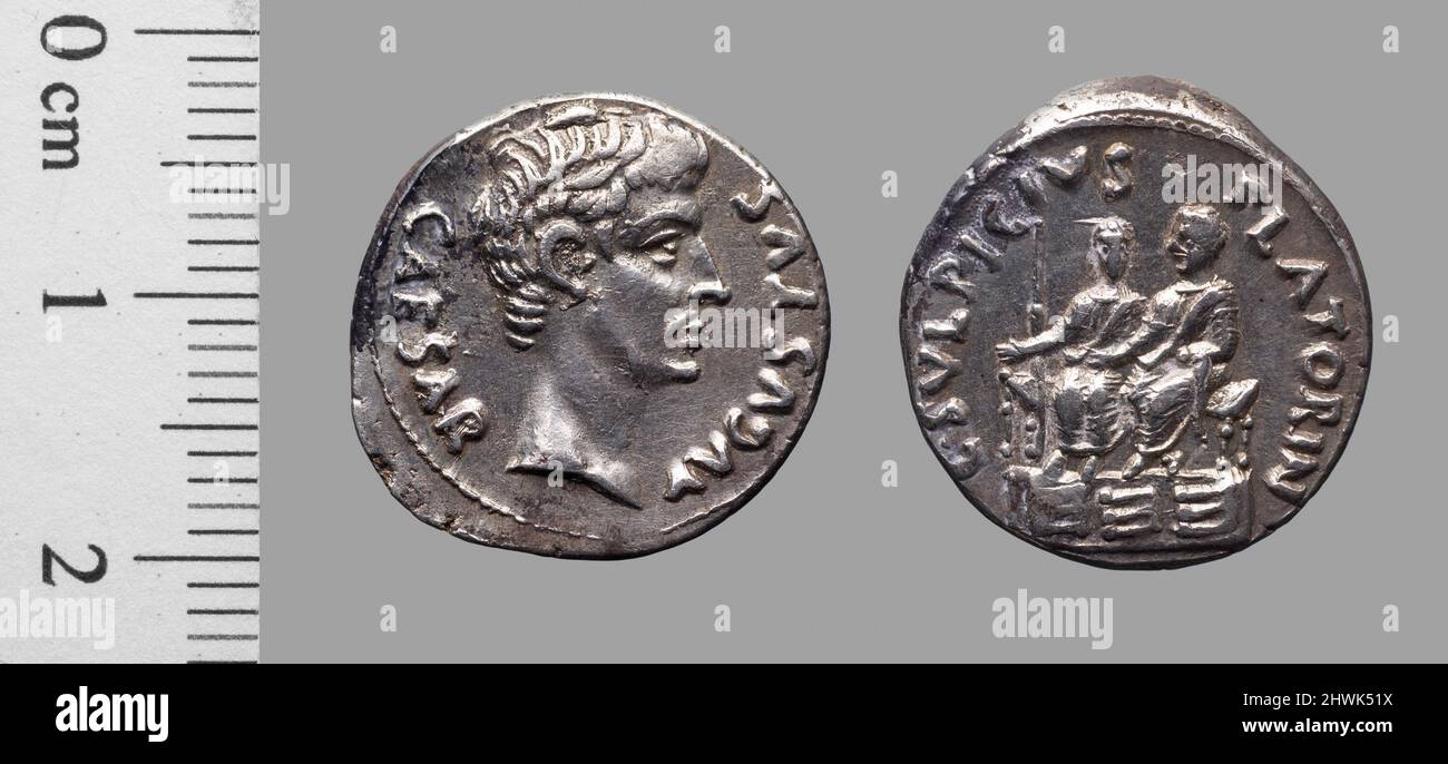 Sulpicius platorinus hi-res stock photography and images - Alamy