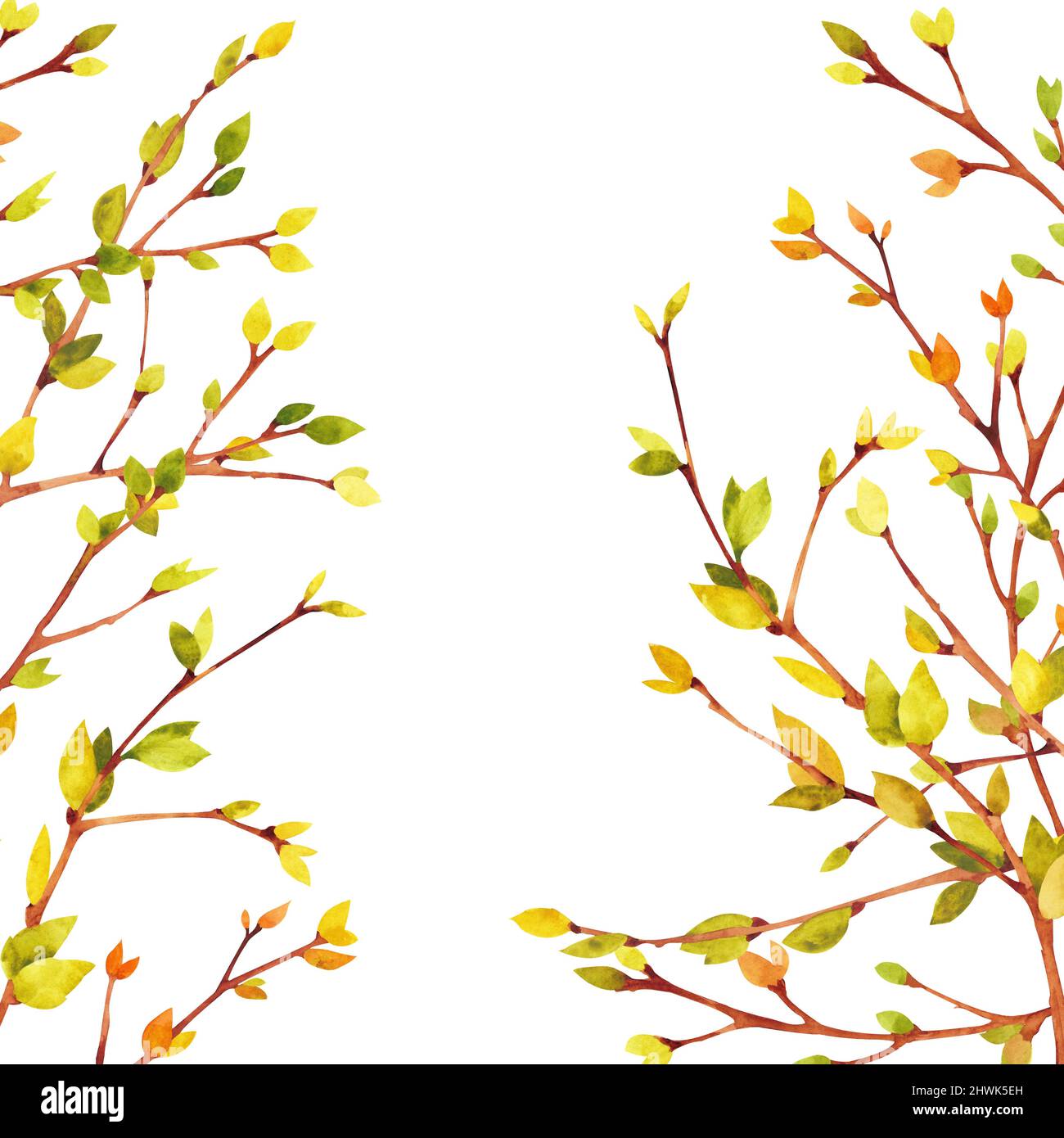 Watercolor spring branch. Hand made illustration postcard isolated on ...