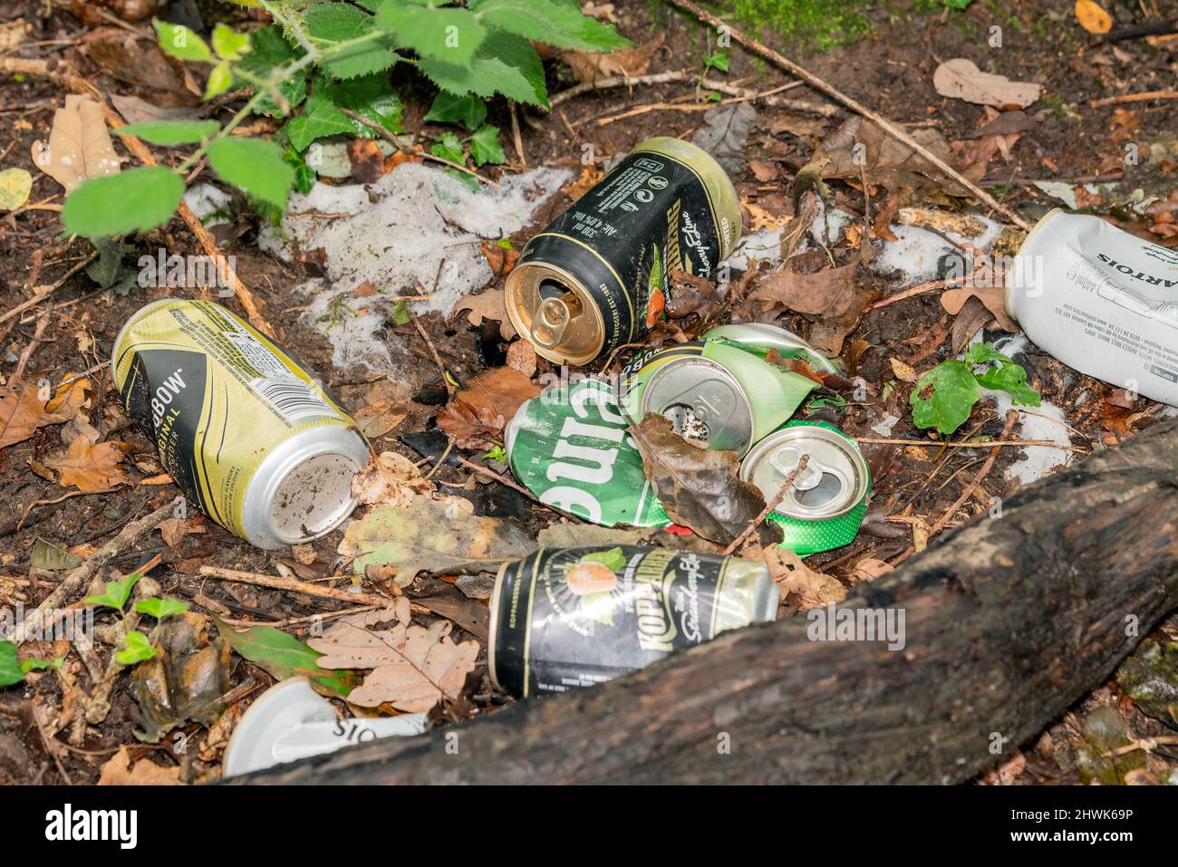 Burry Port, Wales, UK, August 21, 2021 : Tin beer and cider cans left ...