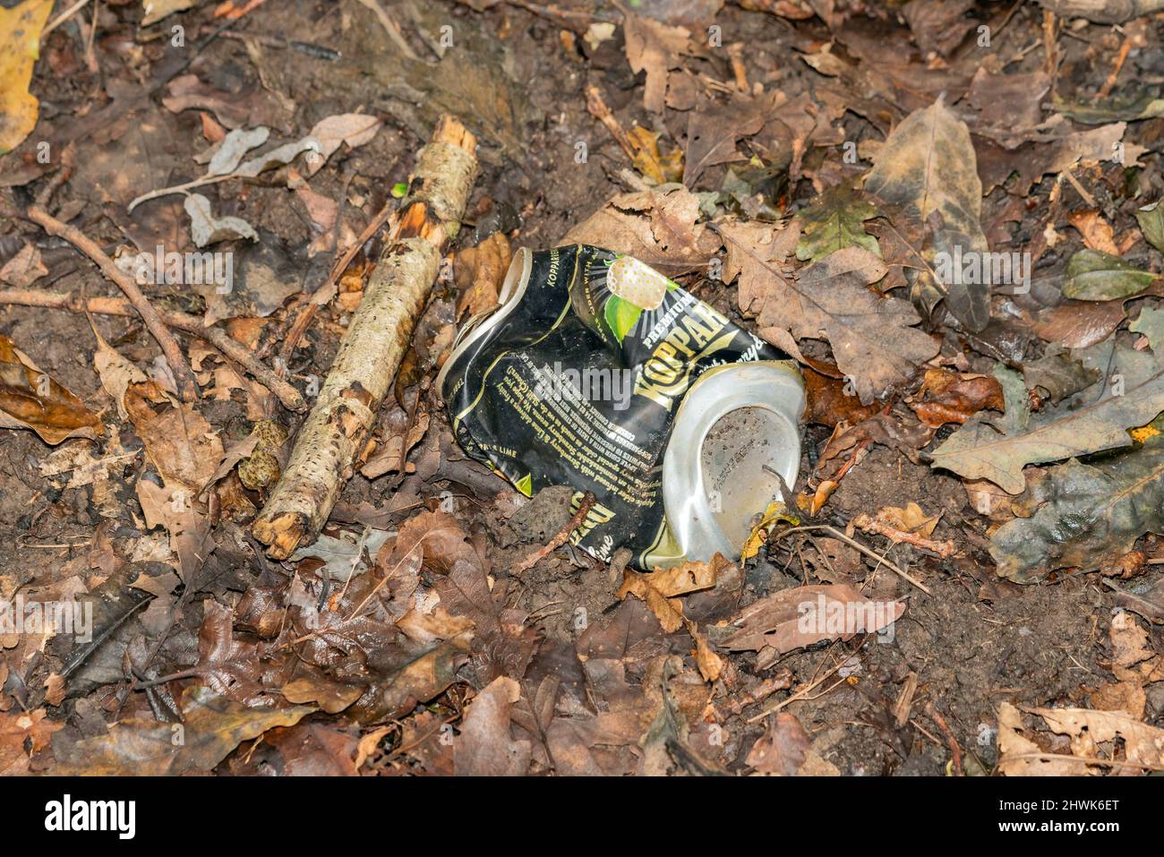 Burry Port, Wales, UK, August 21, 2021 : Tin beer or cider can left as ...