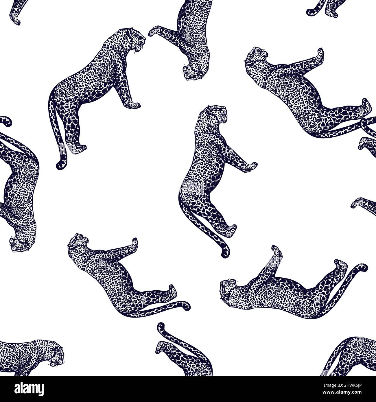 Leopard seamless pattern. Vintage wildlife animals background. Repeated ...