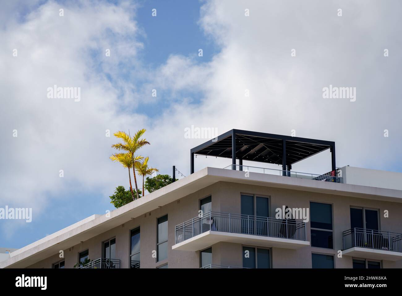 Miami, FL, USA - March 5, 2022: Building with view of rooftop palm tree ...