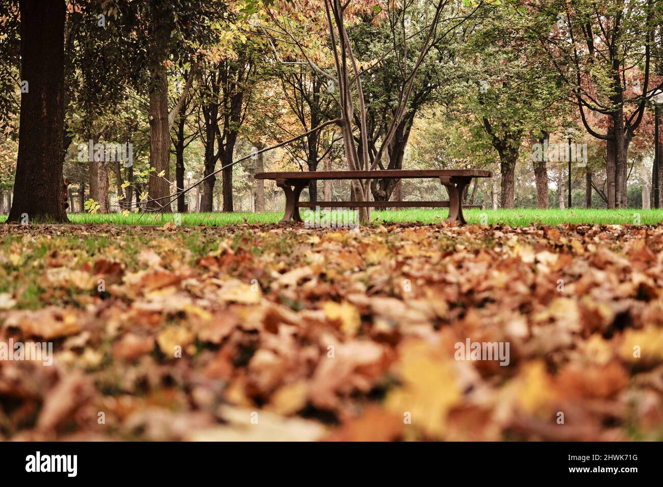 Angle seat hi-res stock photography and images - Alamy
