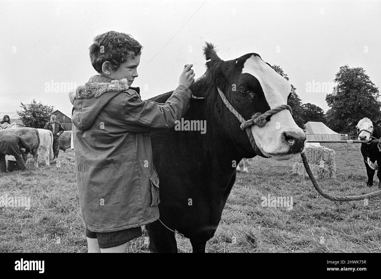 A boy at Stokesley show. Stokesley, North Yorkshire. 1973 Stock Photo ...