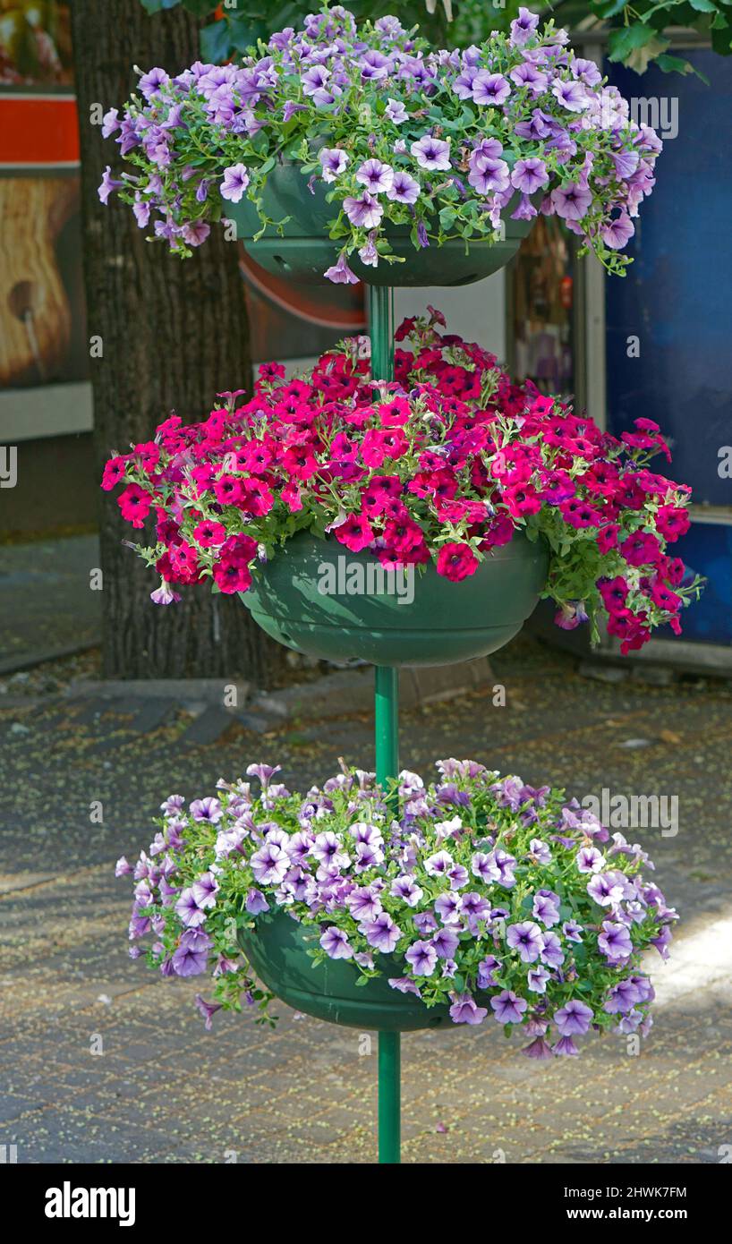 Multi pole hi-res stock photography and images - Alamy
