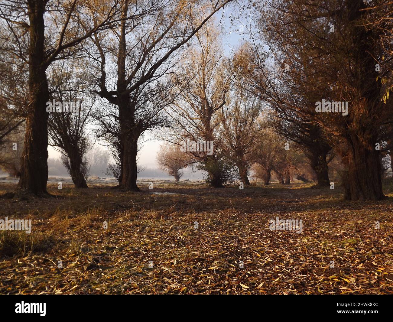 Novi Sad, Serbia - December 04. 2013: Sunset over the tributary of the ...