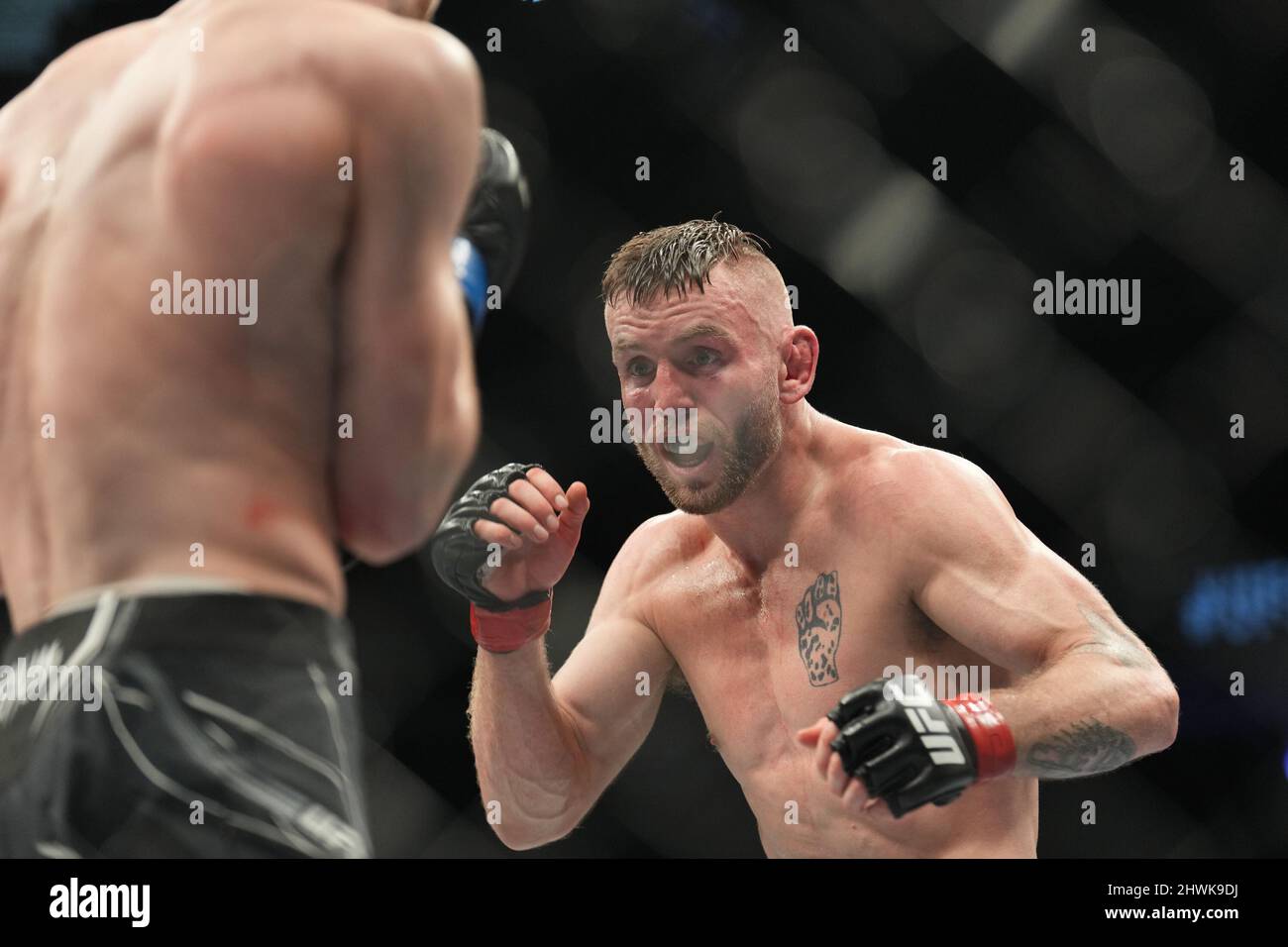 Tim elliott ufc hi-res stock photography and images - Alamy