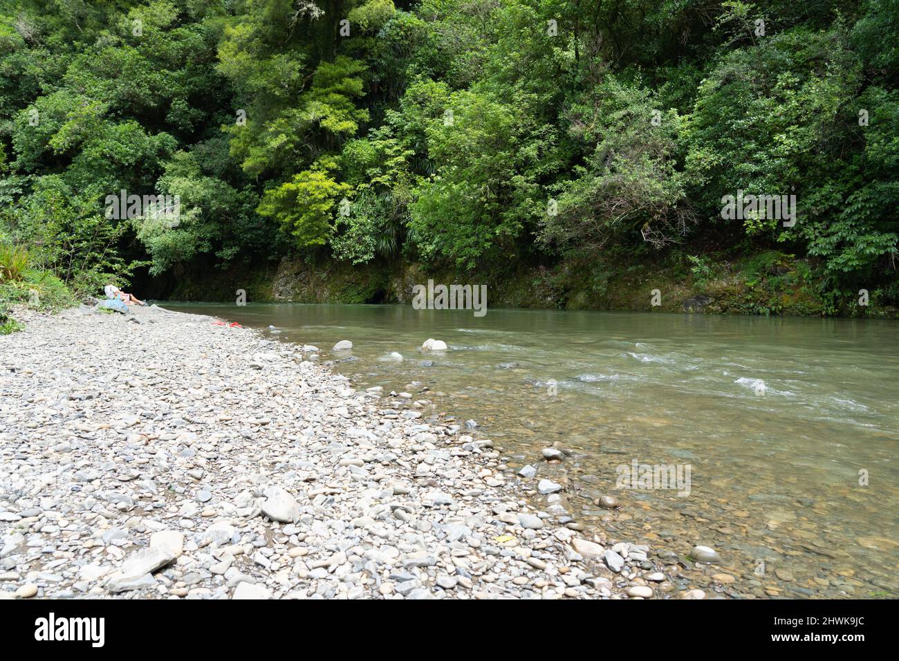 Scenic Waioeka Gorge and river landscape water flows over stony river ...