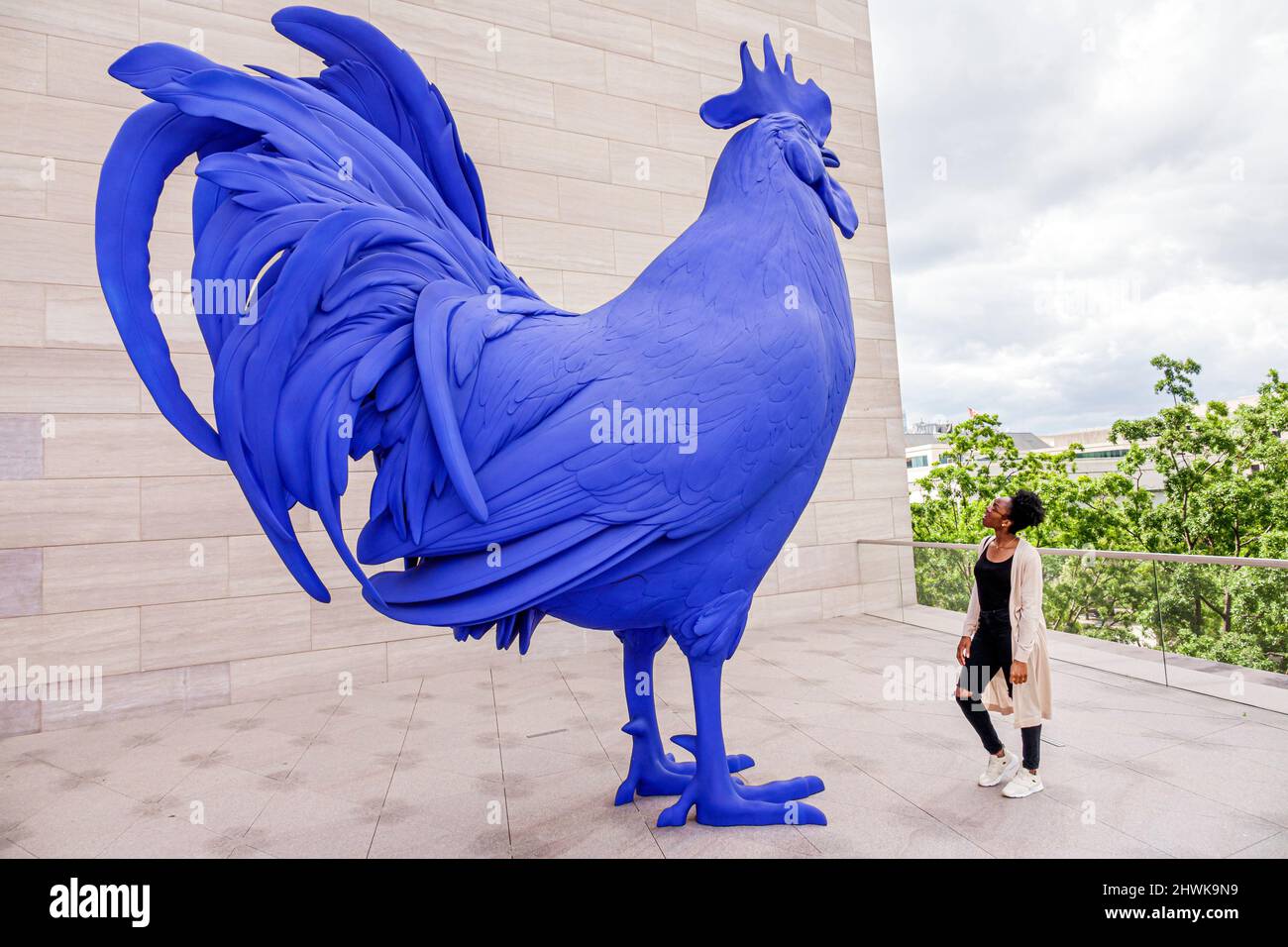 Washington DC,National Gallery of Art museum roof terrace,Katharina ...