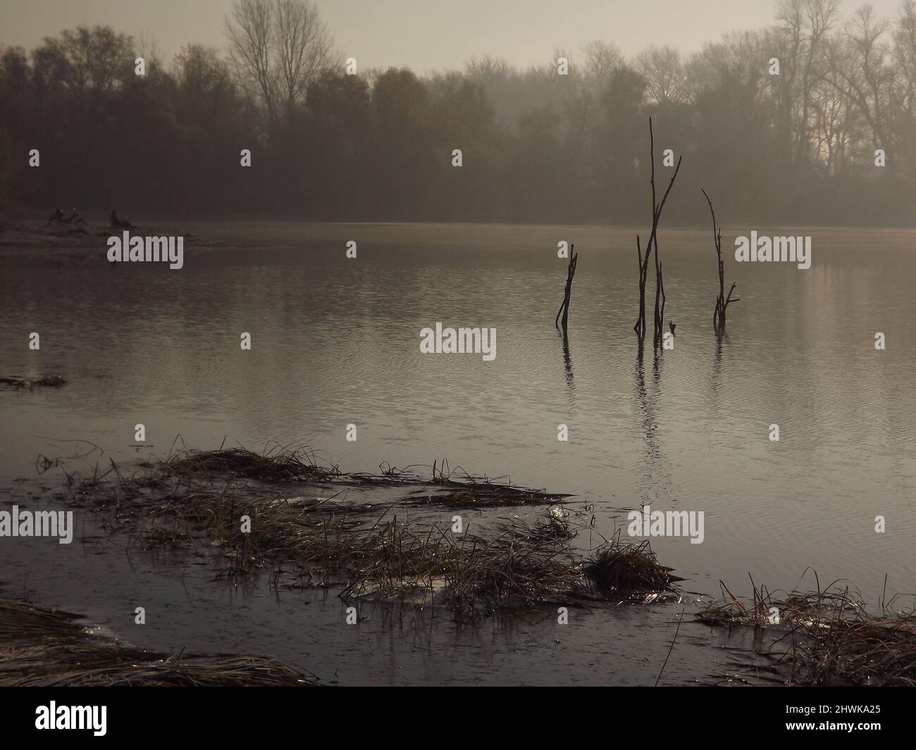 Novi Sad, Serbia - December 04. 2013: Sunset over the tributary of the ...