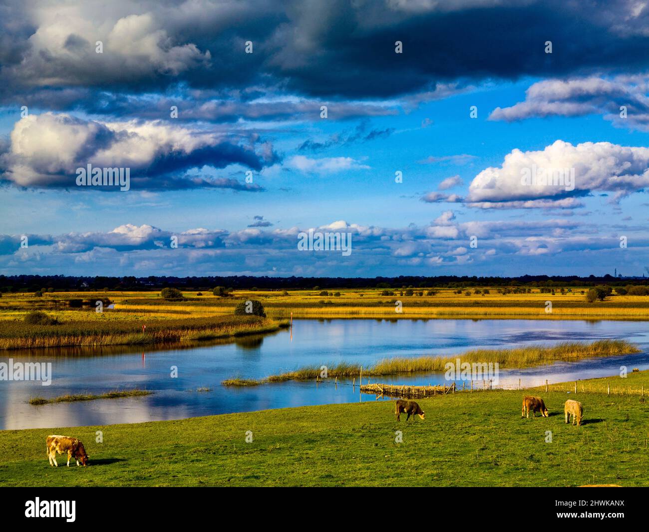 River Shannon at Clonmacnoise, Co. Offaly Stock Photo - Alamy