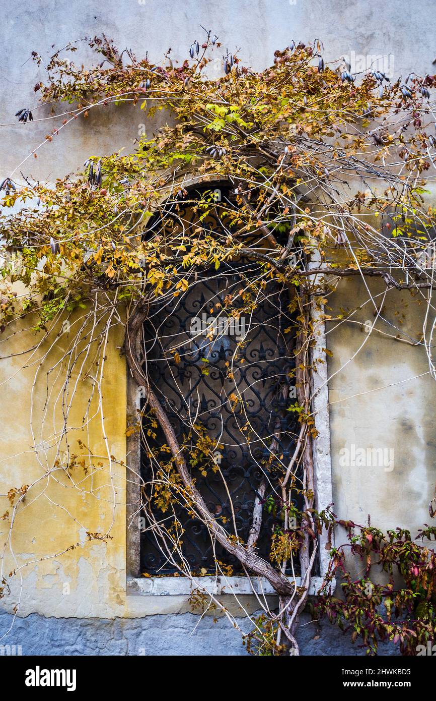Venice gate, Italy Stock Photo - Alamy