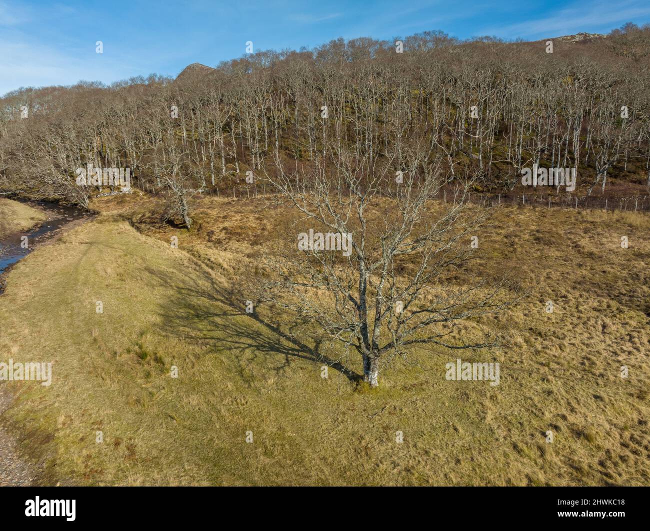 Poolewe to loch maree hike hi-res stock photography and images - Alamy