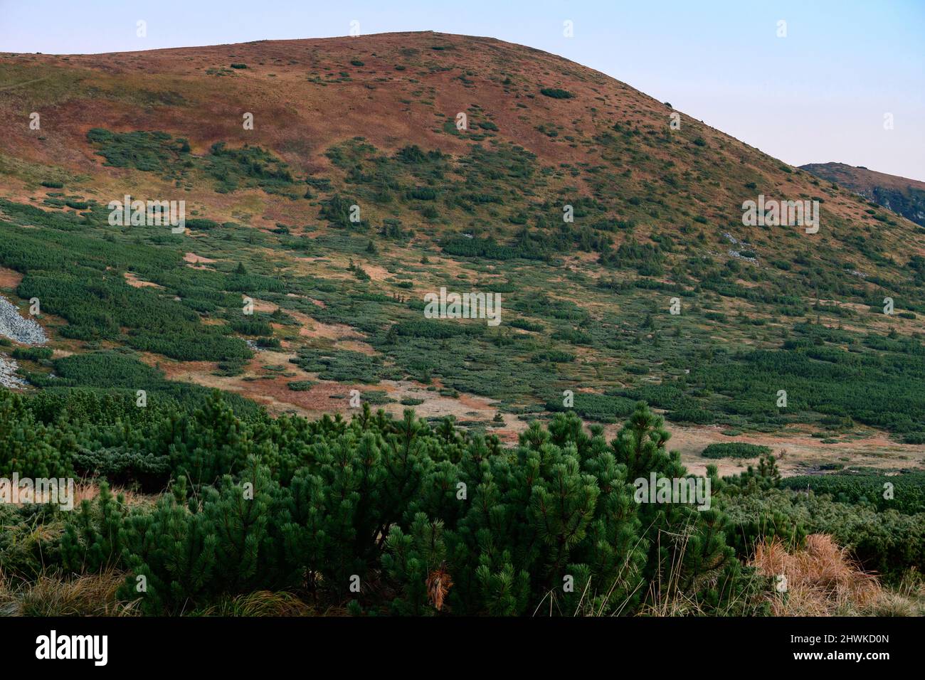 Picturesque landscape with green mountains and grassy meadow in the ...