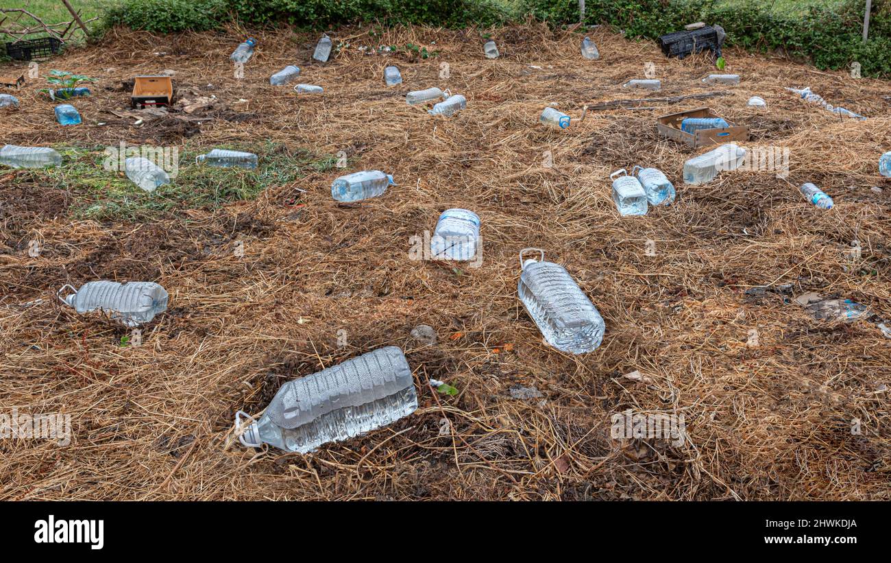 Plastic thrown in the middle of nature, toxic waste, concept recovery ...