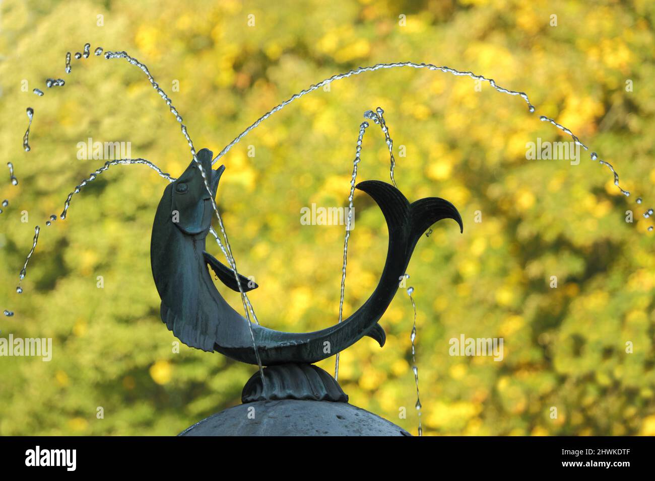 Fish as a gargoyle, Fischertorbrunnen in Mainz, Rhineland-Palatinate ...