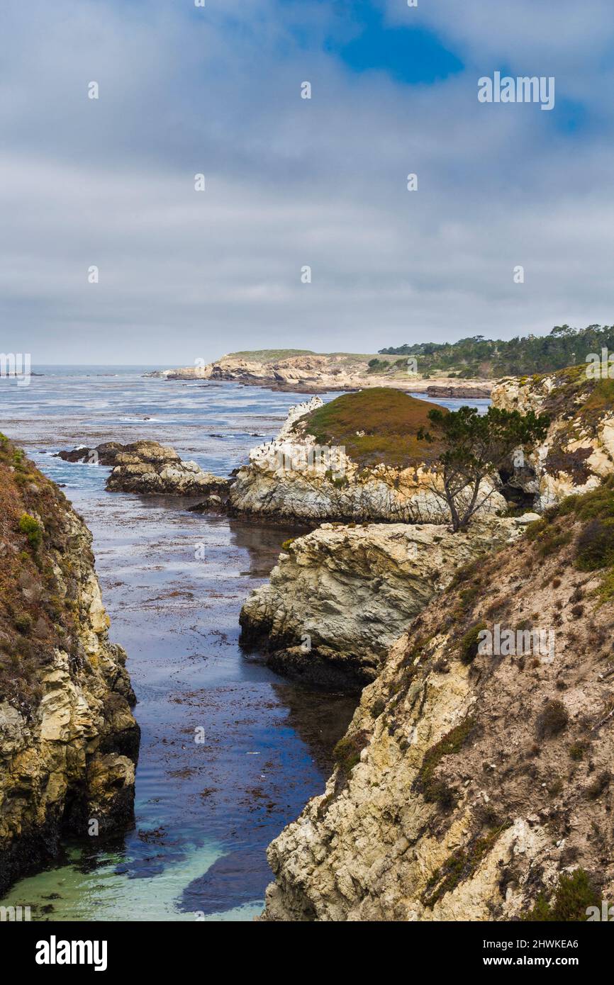Point Lobos natural reserve, California Stock Photo - Alamy