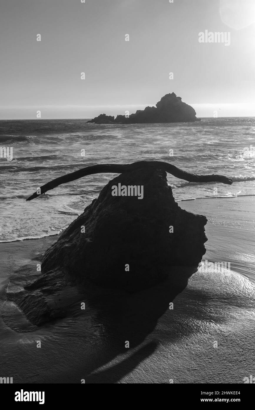 Beach cliff california Black and White Stock Photos & Images - Alamy