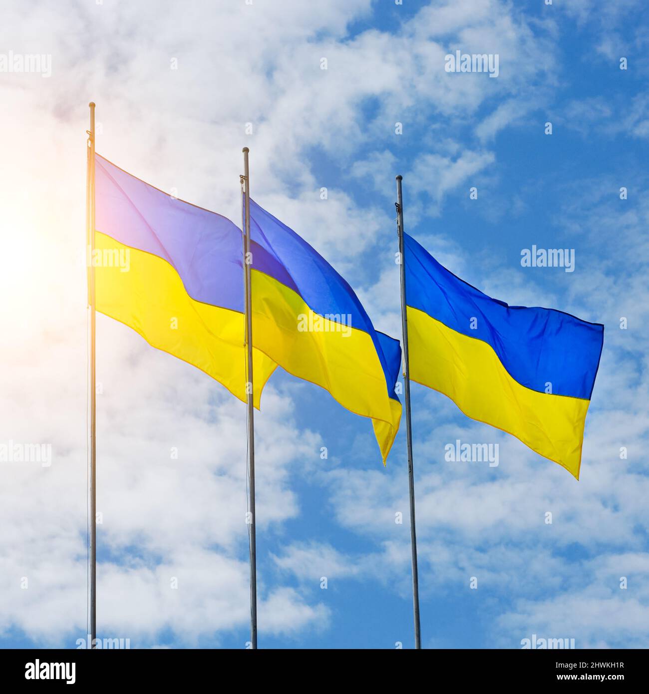 Banner with three Ukrainian flags on a background of blue sky and ...