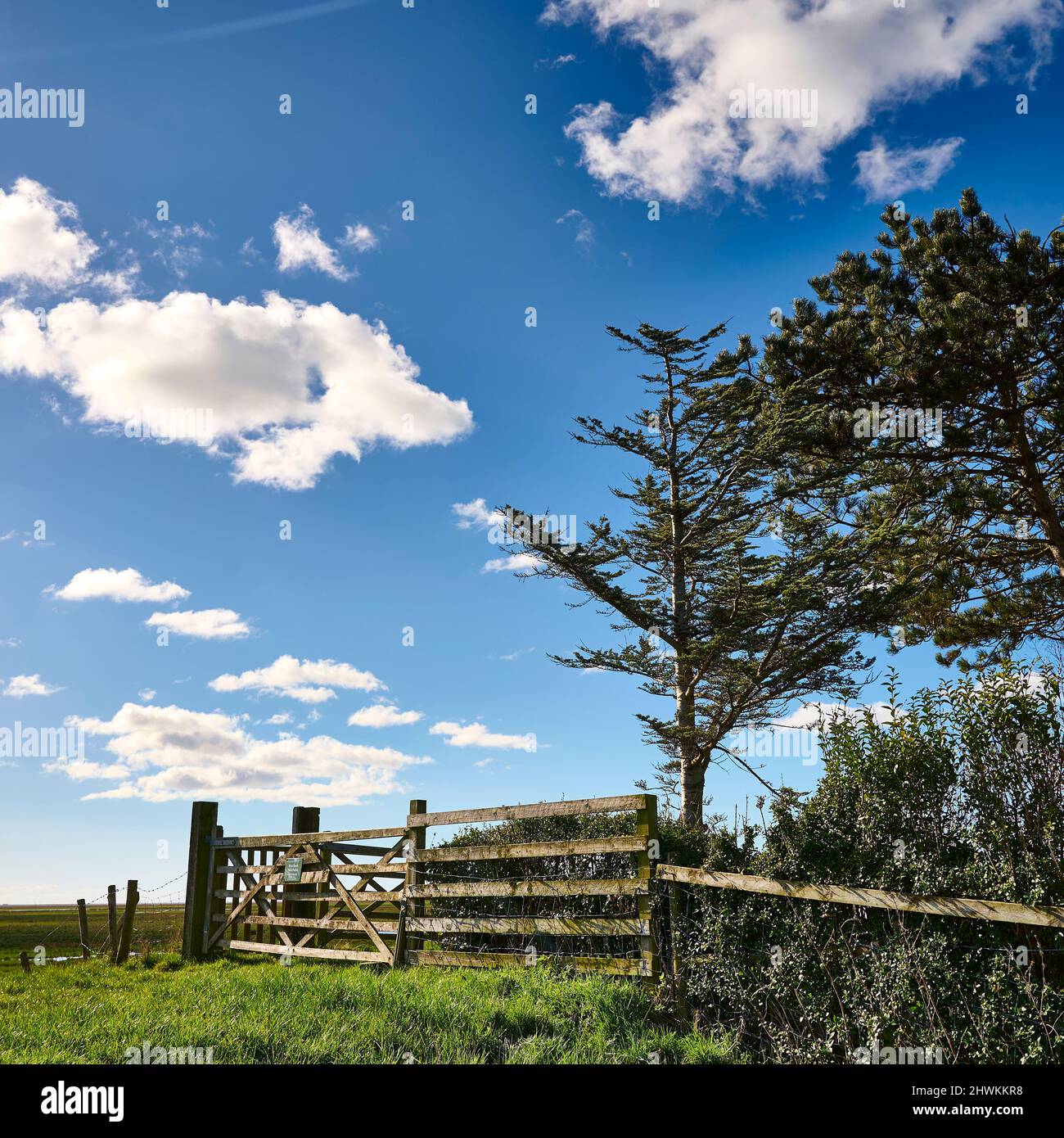 Five barred gate hi-res stock photography and images - Alamy