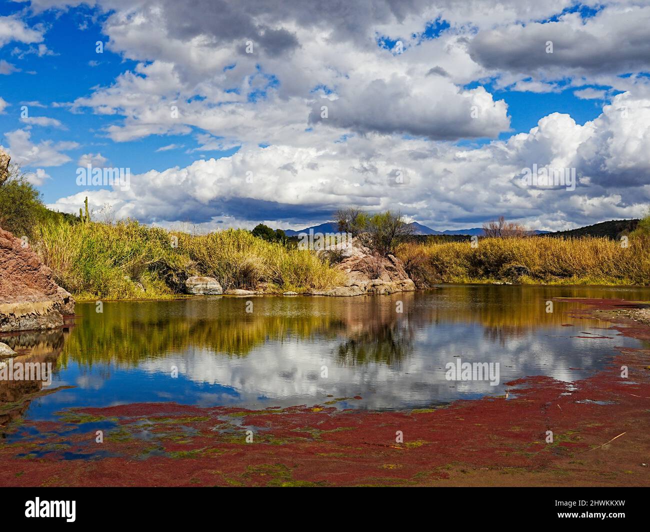 Following some recent rain and snow events the Salt River is bursting ...