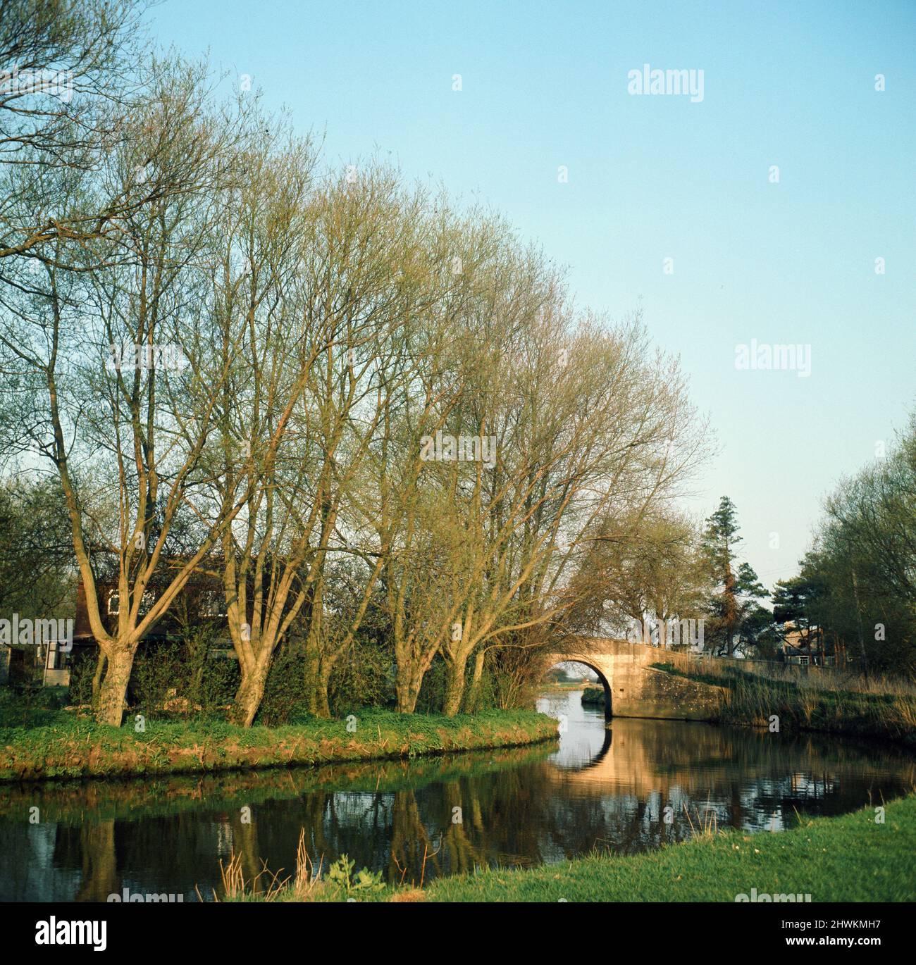 The River Thames at Radcot, Berkshire. 1973 Stock Photo - Alamy