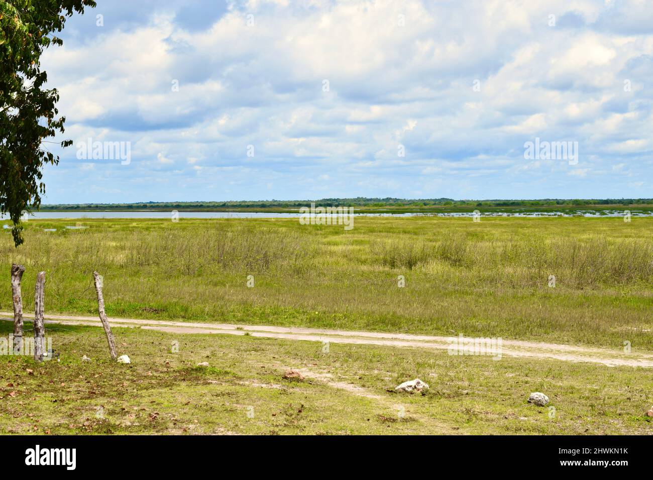 The beautiful wetlands of the National Wildlife Sanctuary in Crooked ...