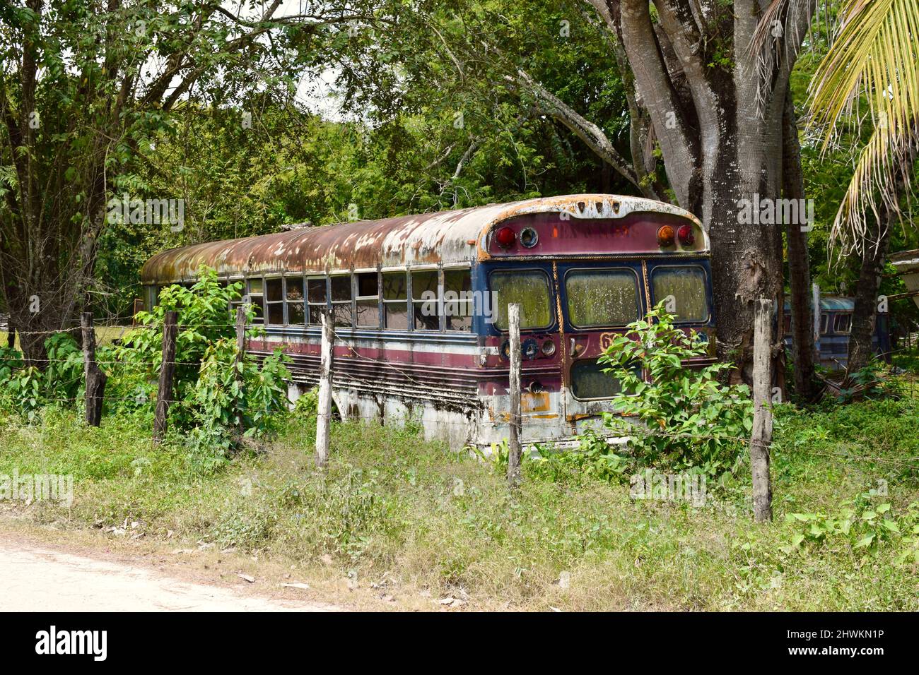 A run down, rusty, and dilapidated school bus abandoned in the grass ...