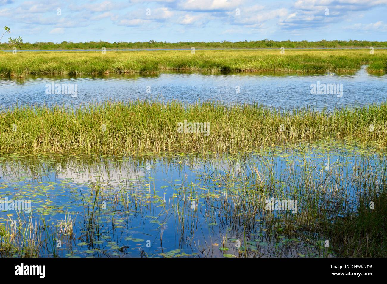 The National Wildlife Sanctuary in Crooked Tree, Belize is maintained ...