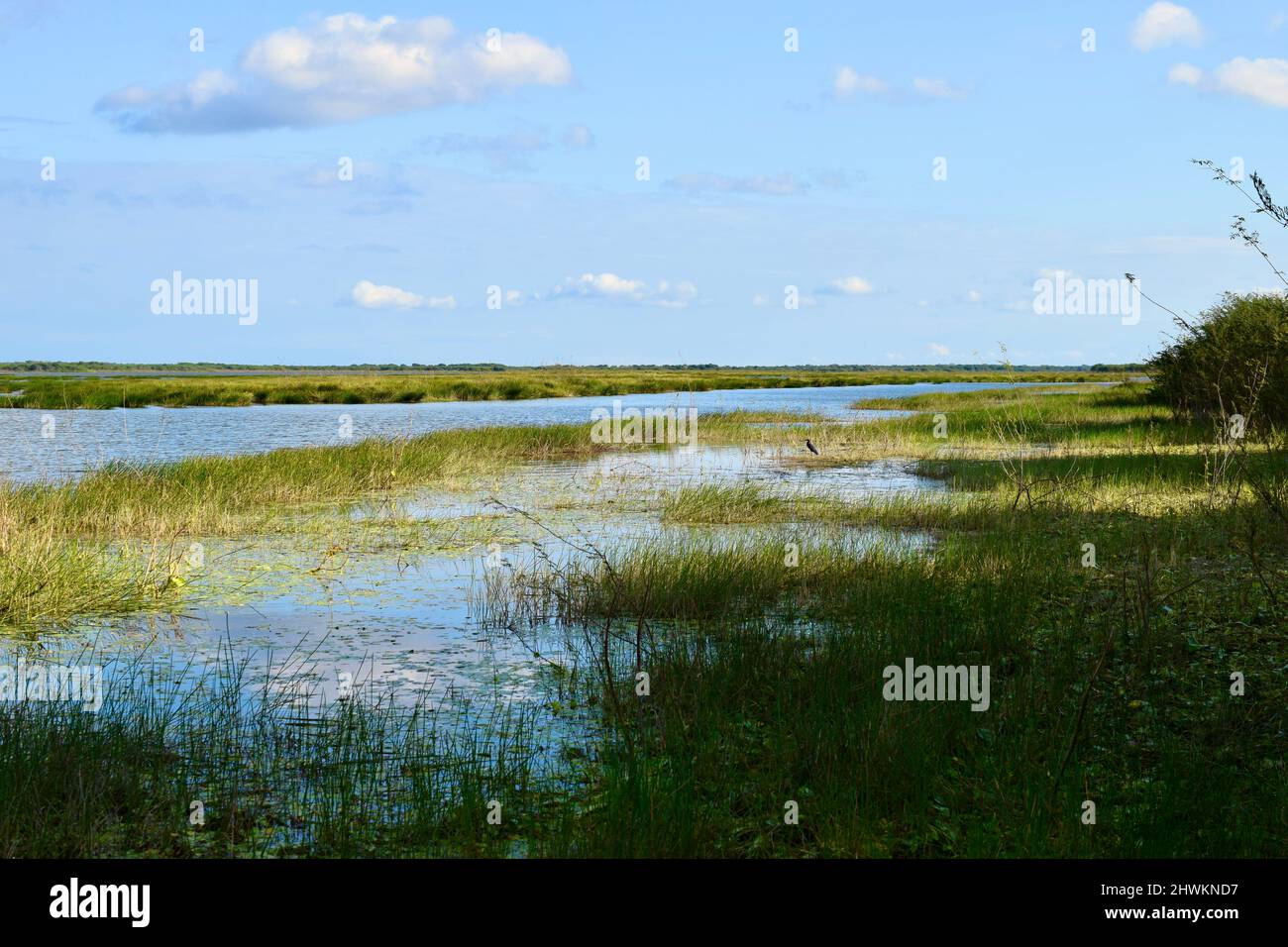 The National Wildlife Sanctuary in Crooked Tree, Belize is maintained ...