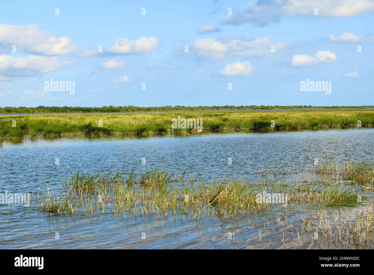 The National Wildlife Sanctuary in Crooked Tree, Belize is maintained ...