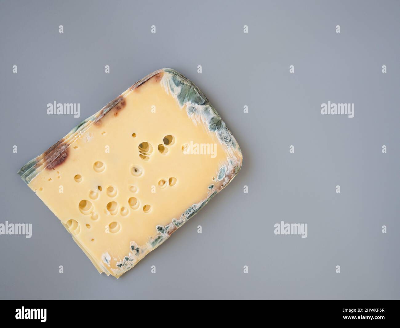 Moldy Swiss Cheese