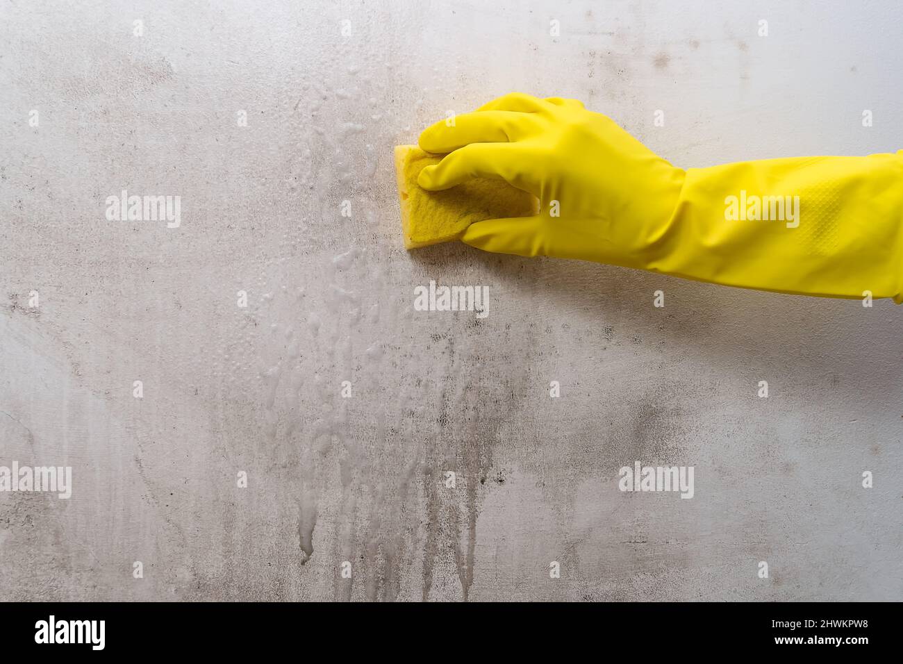 Mold Sponge Rubber High Resolution Stock Photography and Images - Alamy
