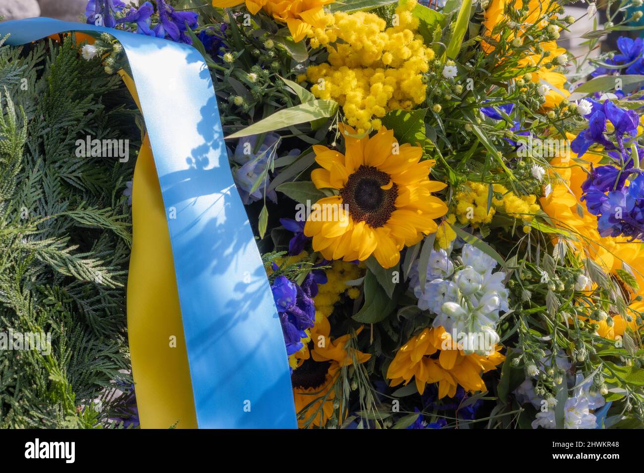 Peaceful Protest Flowers